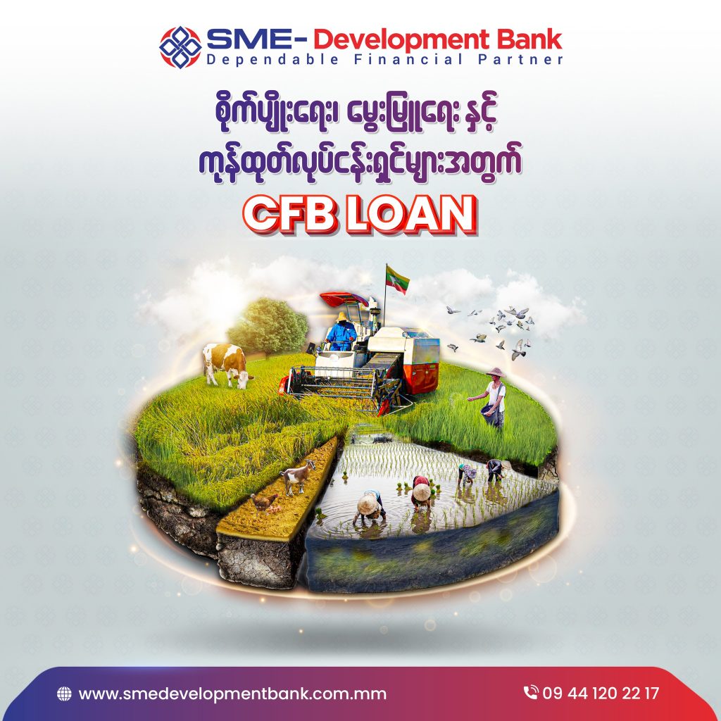 SME-Development Bank