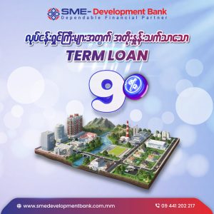 SME-Development Bank